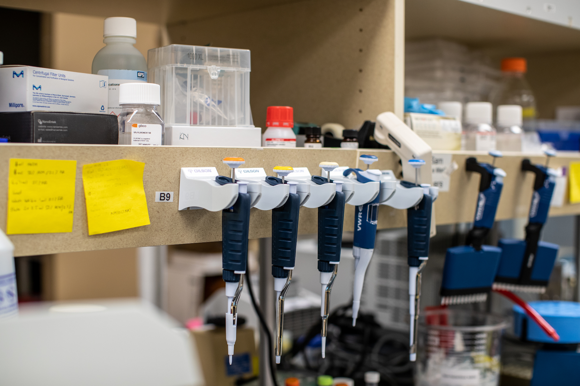 How to build a lab – IMMUNE MATTERS