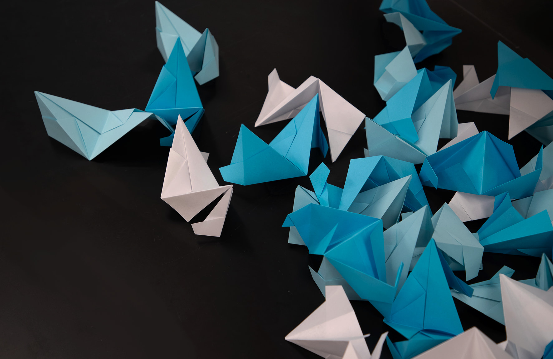 IMMUNE MATTERS – La Jolla Institute