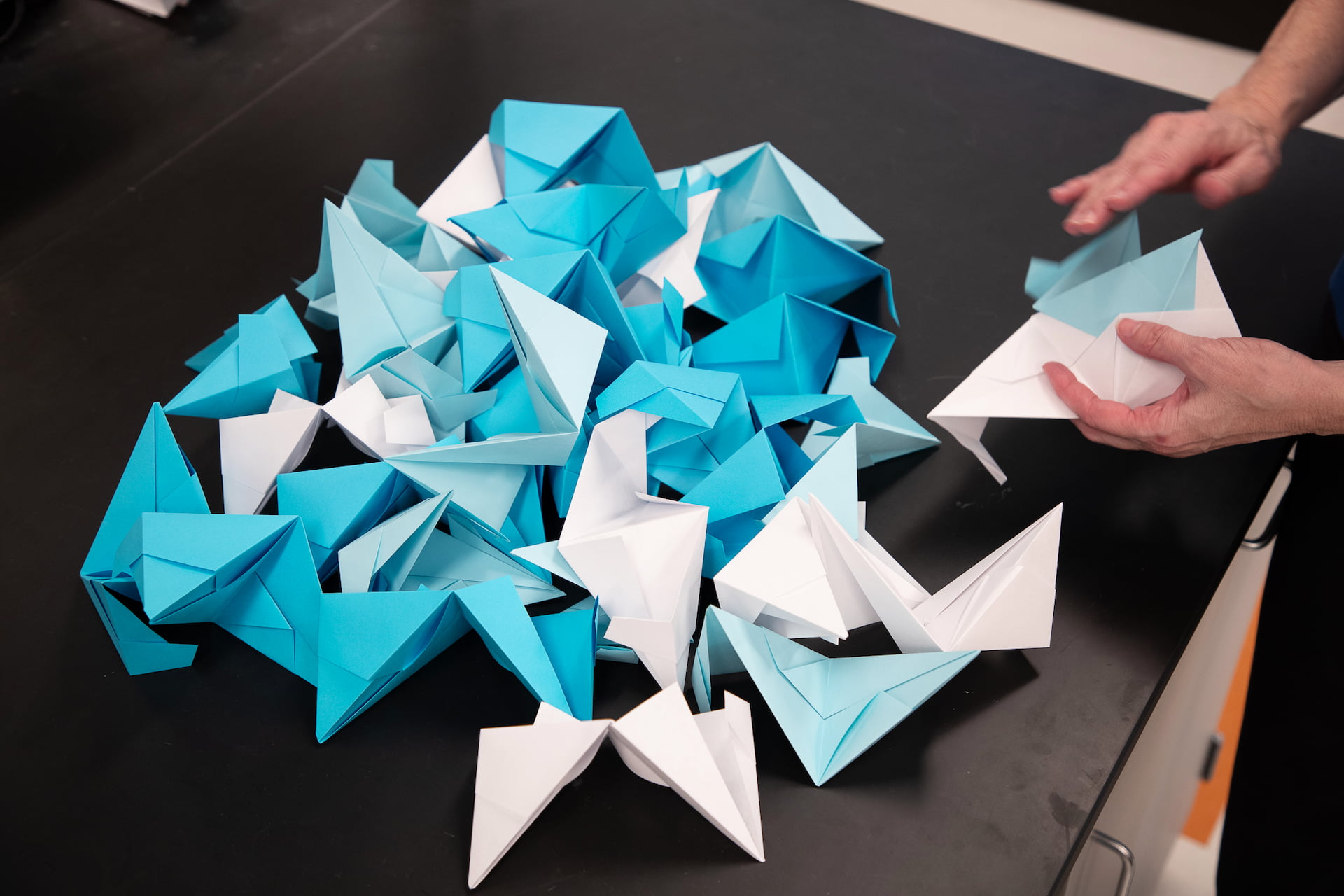 Data in the real world – IMMUNE MATTERS